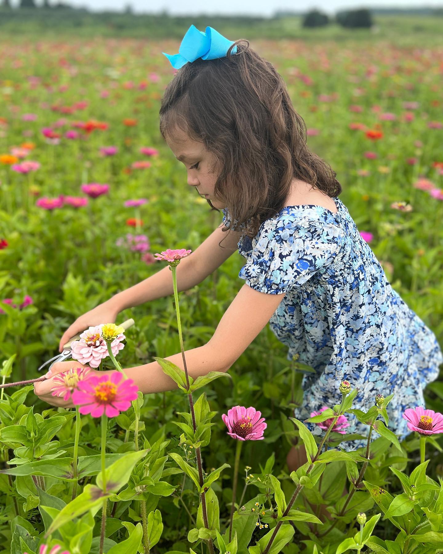 Erie, PA Summer Guide: 5 Must-Do Activities for Families - VisitErie